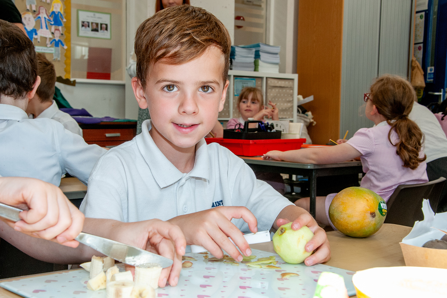Year 4 | St Winifred's RC Primary School